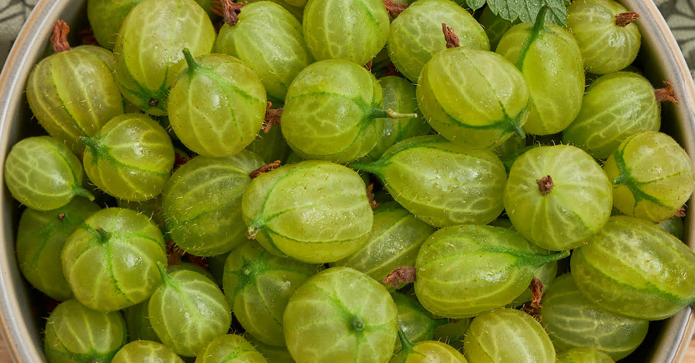 Ogrozd: bez trnja | Kaufland