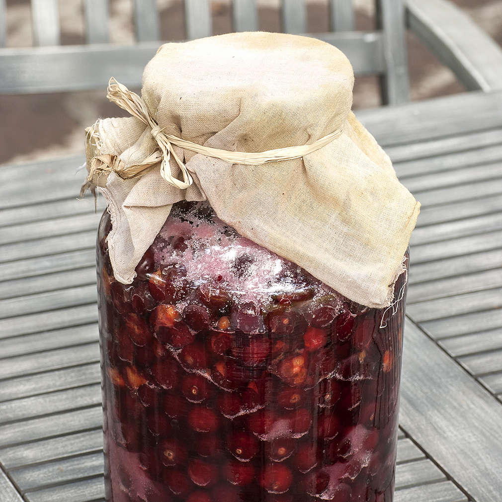 Vișinată: Vezi rețeta | Kaufland