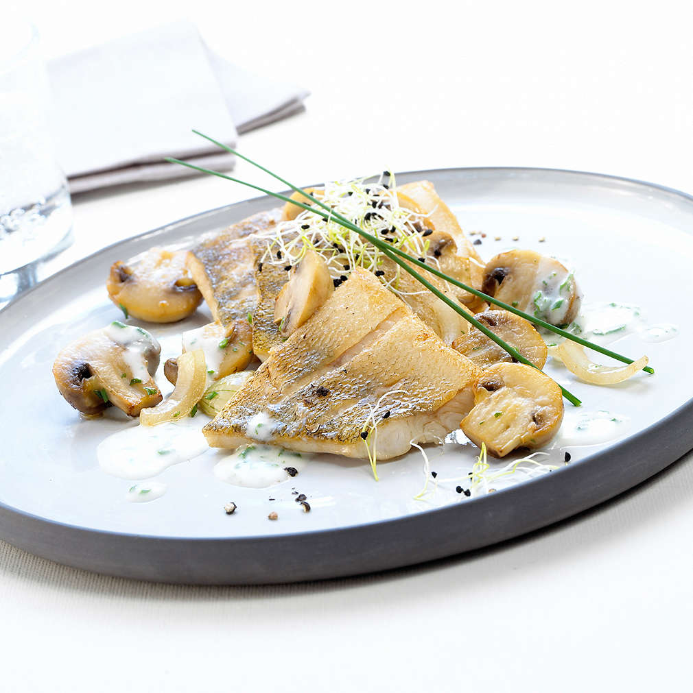 Zanderfilet mit Rahm-Champignons - Rezept | Kaufland