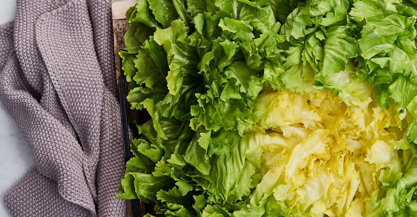 Andiva: salata verde extrem de săracă în calorii | Kaufland