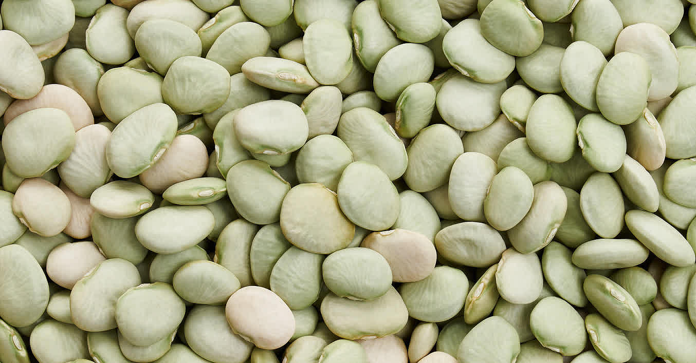 Limabohnen: gute Eiweißquelle für Vegetarier | Kaufland